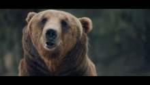 Otterbox - Ultra Bear Proof - TVCBOOK
