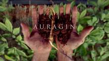 Auragin Ginseng - TVCBOOK