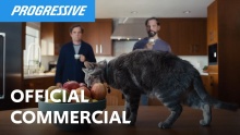 Replay | Cat | Progressive Insurance Commercial - TVCBOOK