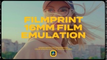 FilmPrint 16mm FILM EMULATION Power Grade for Professional Color Grading in DaVinci Resolve ...