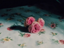 The Flower Society | Elie Fahed - TVCBOOK