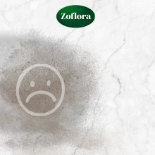 Zoflora Eid Adha Ad - TVCBOOK