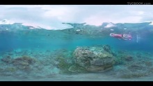 SUBEA // EASYBREATH 360 VIDEO (Turtles) - TVCBOOK
