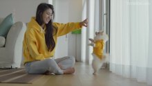 [G마켓] 설현 TVC - 리빙 컬렉션★ - TVCBOOK
