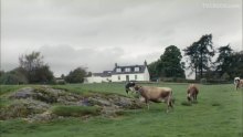Cravendale - Milk Me Brian - TVCBOOK