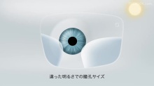 ZEISS Progressive Lens Individual 2. 一人ひとりの要望にお応えするフルオーダーメイドレンズ - TVCBOOK